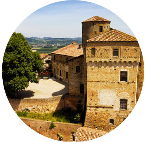 Castelli Langhe Barolo: un Mondo Tutto da Scoprire - Motta